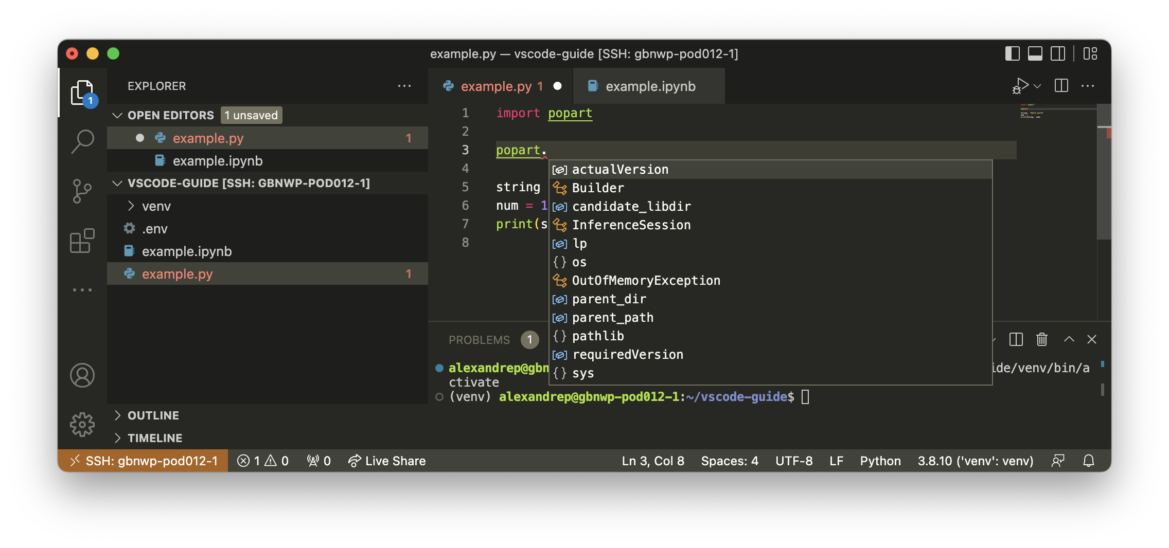 8.2. Using VS Code with the Poplar SDK and IPUs — Tutorials