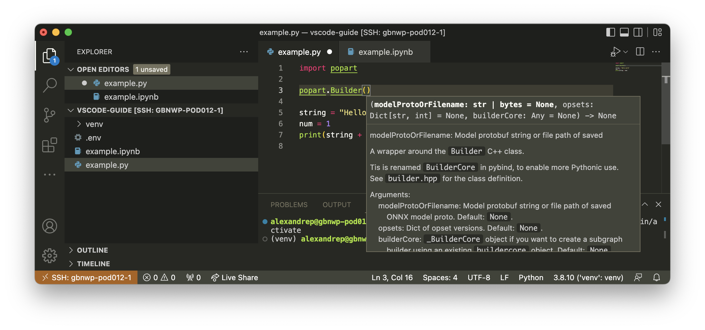 8.2. Using VS Code with the Poplar SDK and IPUs — Tutorials